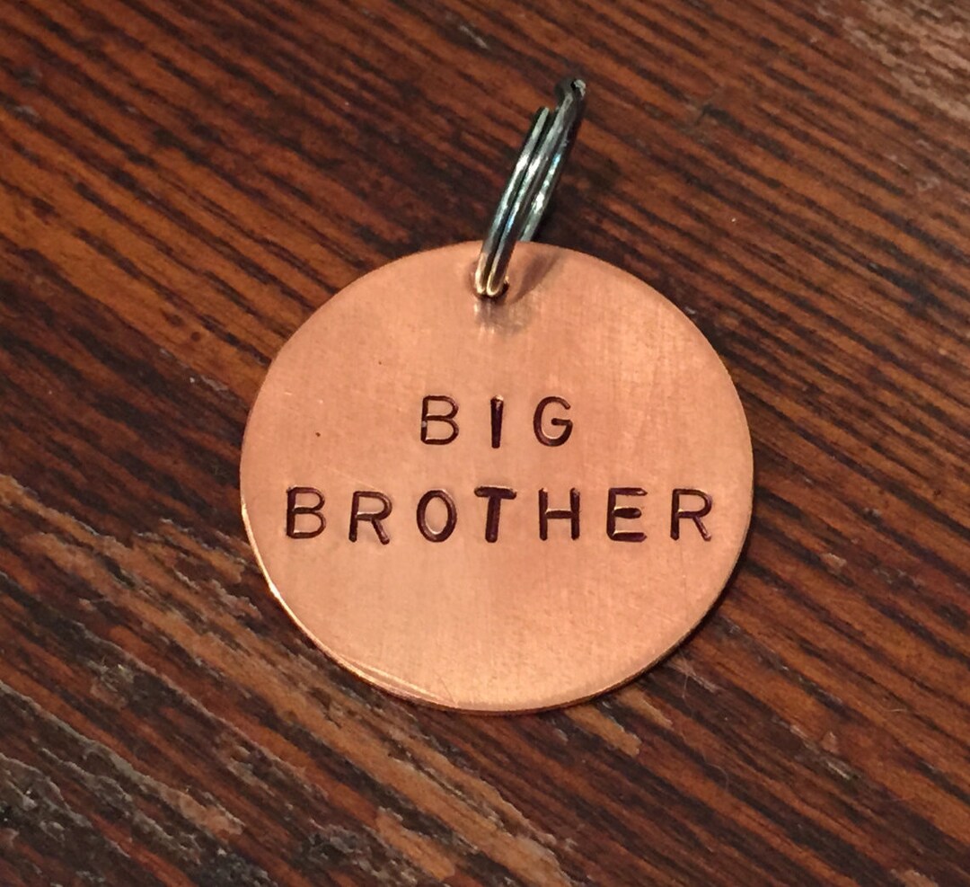 Big Brother Dog Tag - Cat Tag - Keychain - Cute, Funny, Unique, Hand ...