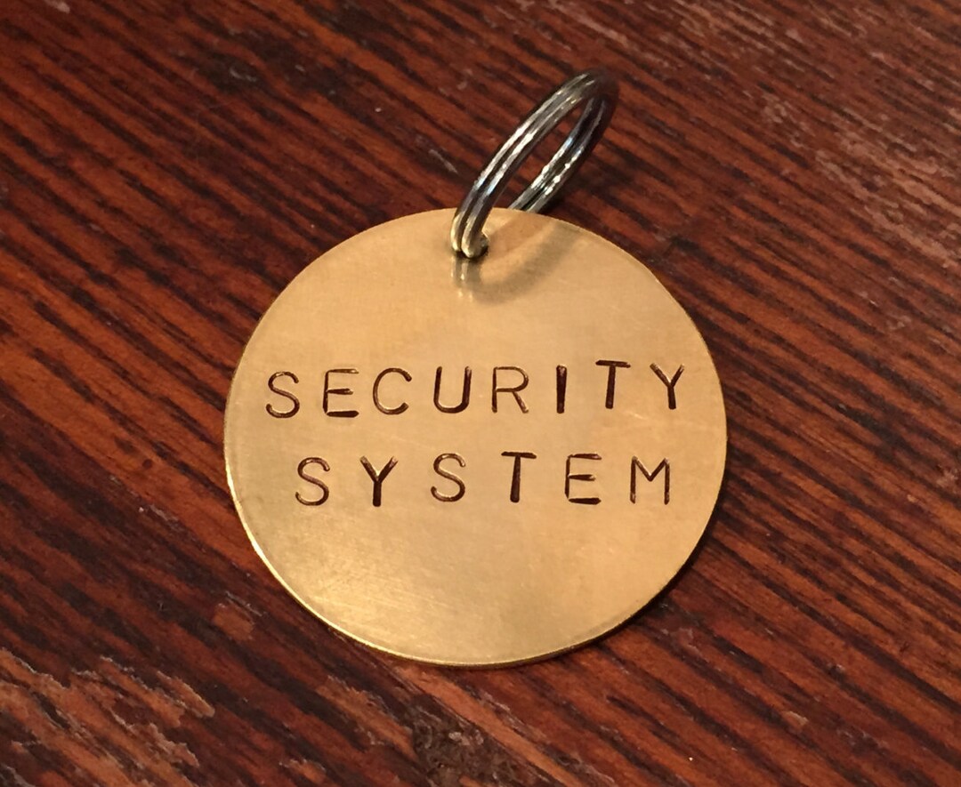 Security System Dog Tag - Cat Tag - Keychain - Cute, Funny, Unique ...