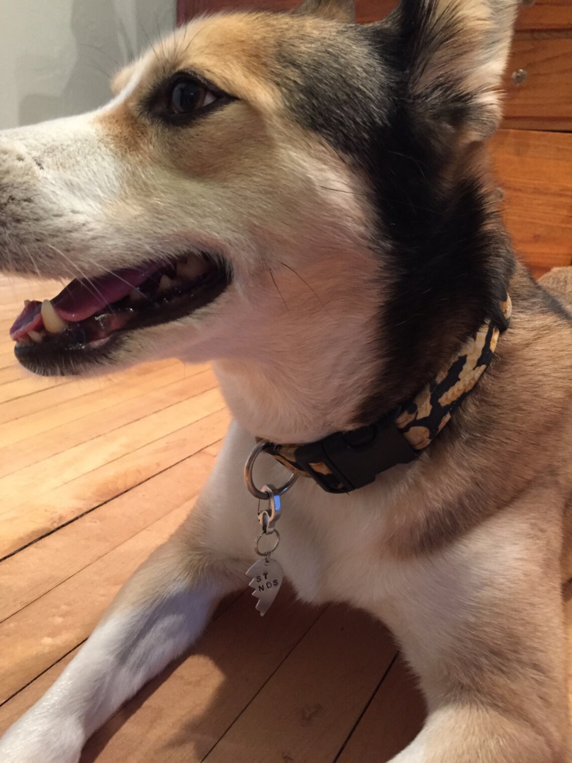 Frenemies Dog Tag Set LARGE Dog Tags Keychains Unique - Etsy