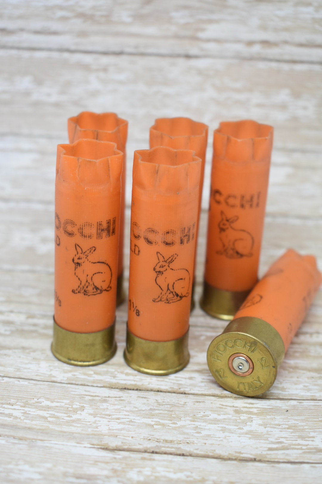 6 Gauge Shotgun Shell