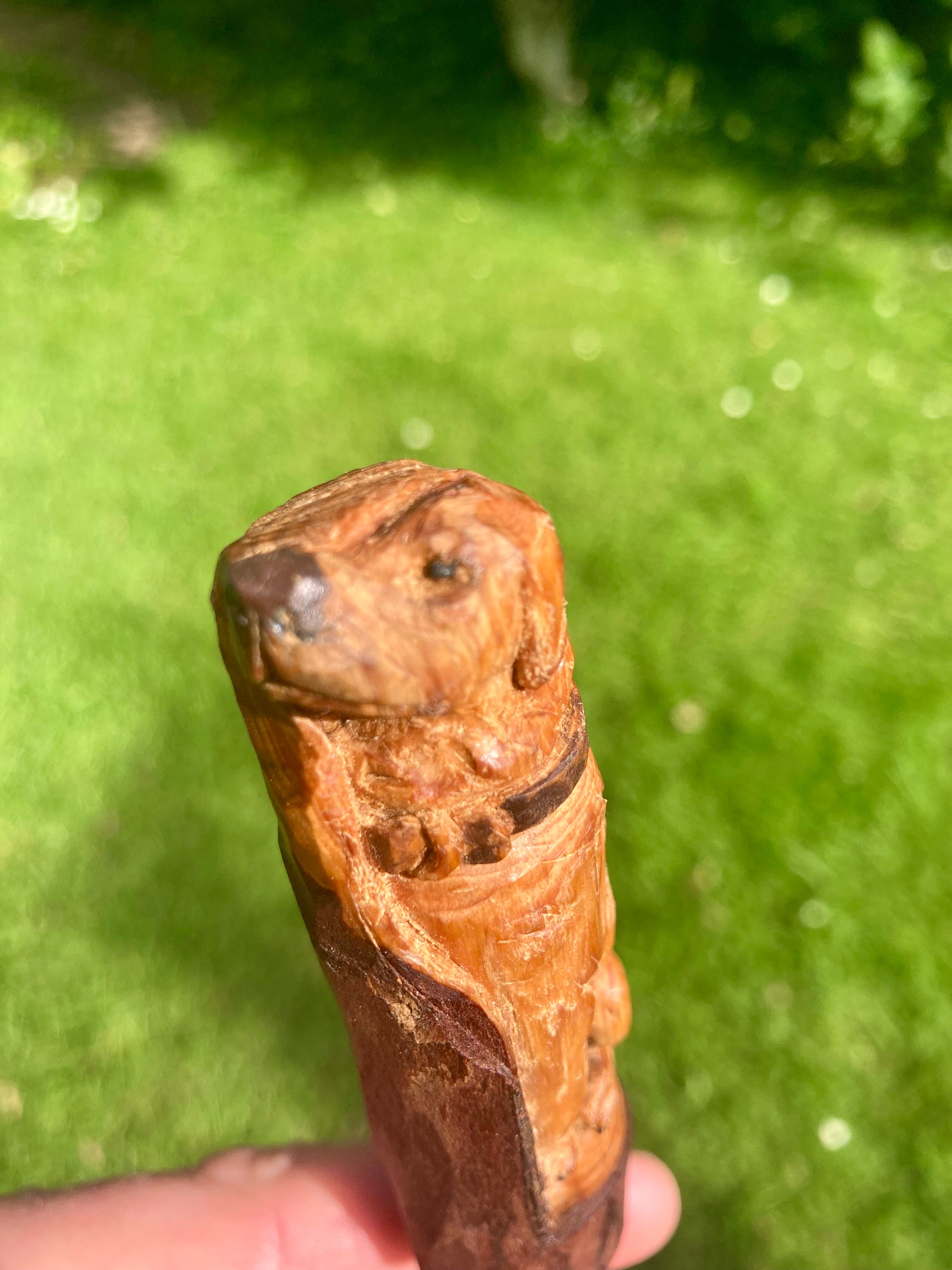 Labrador Carved Wooden Walking Stick Topper Hiking Hiker Walker Man ...