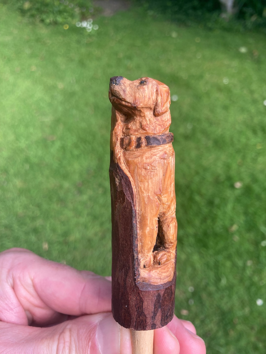 Labrador Carved Wooden Walking Stick Topper Hiking Hiker Walker Man ...