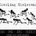 Crawling Skeletons, Skeleton Svg, Skeleton Png, Skeleton Bundle Set ...
