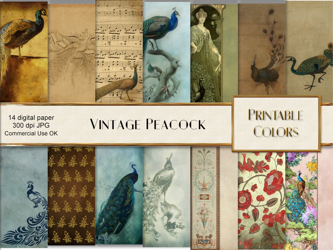 Vintage Peacock Digital Paper - Digital Download - Peacock Scrapbook ...