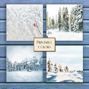 Watercolor Winter Digital Paper - Digital Download - Winter Scenes for ...