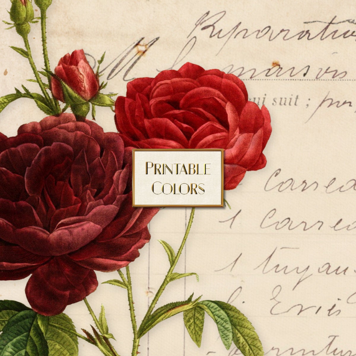 Botanical Digital Paper - Vintage Botanical - Digital Download - Floral ...