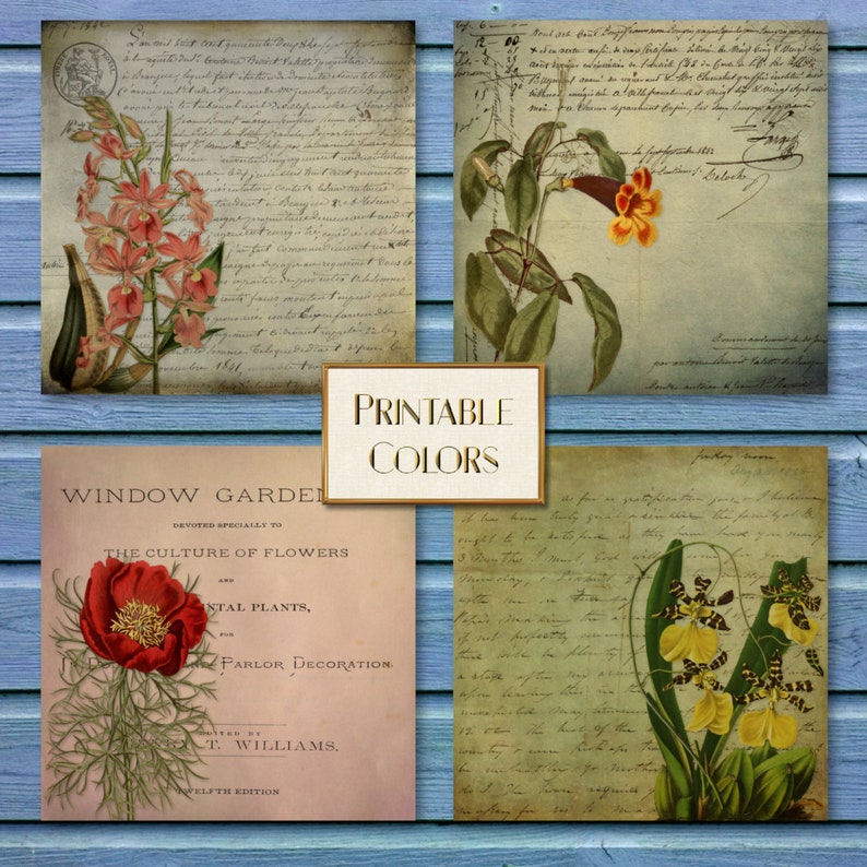 Botanical Digital Paper - Vintage Botanical - Digital Download - Floral ...