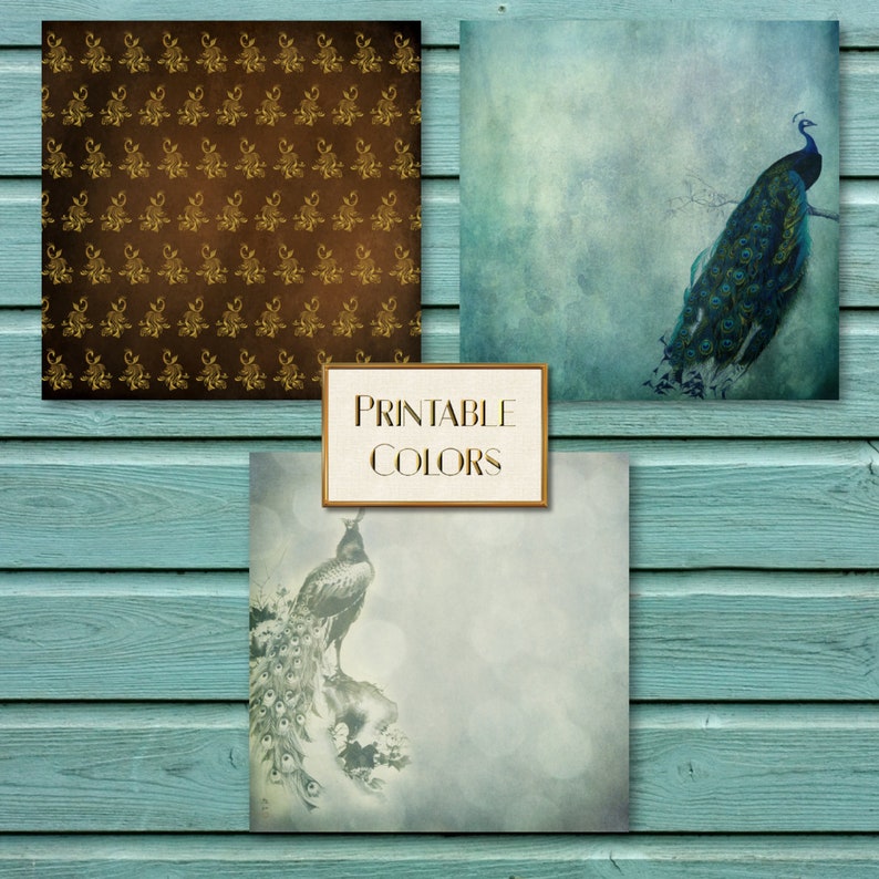 Vintage Peacock Digital Paper Digital Download Peacock Scrapbook ...