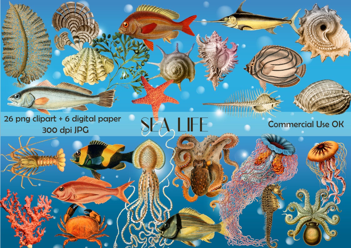 Vintage Sea Clipart - Digital Download - Fish Clipart - Scrapbook Sea ...