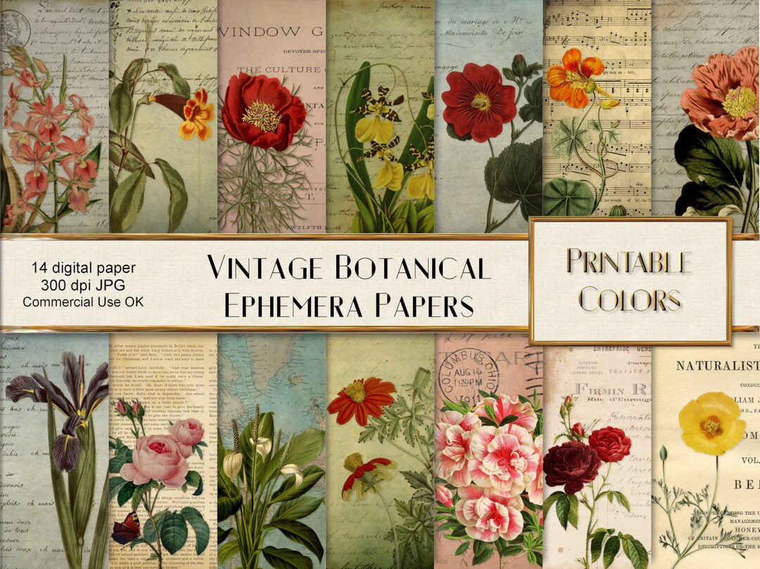 Botanical Digital Paper - Vintage Botanical - Digital Download - Floral ...
