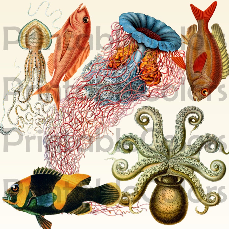 Vintage Sea Clipart - Digital Download - Fish Clipart - Scrapbook Sea ...