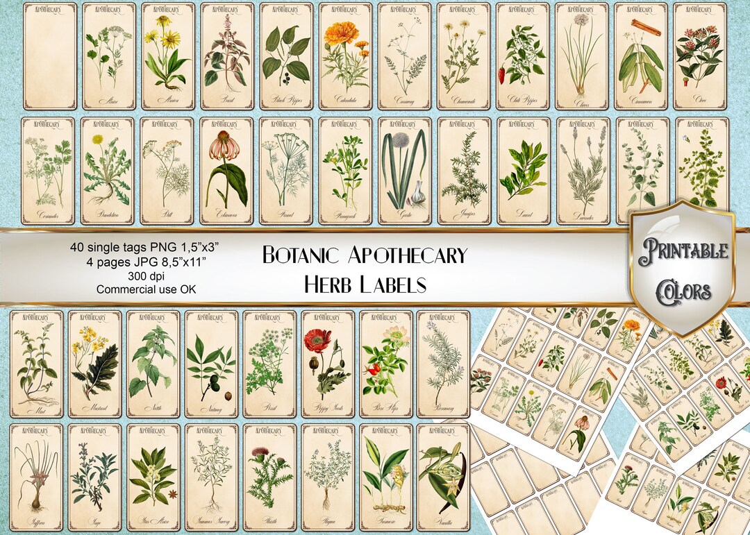 Digital Vintage Herb and Spice Labels, Printable Botanical Labels for ...