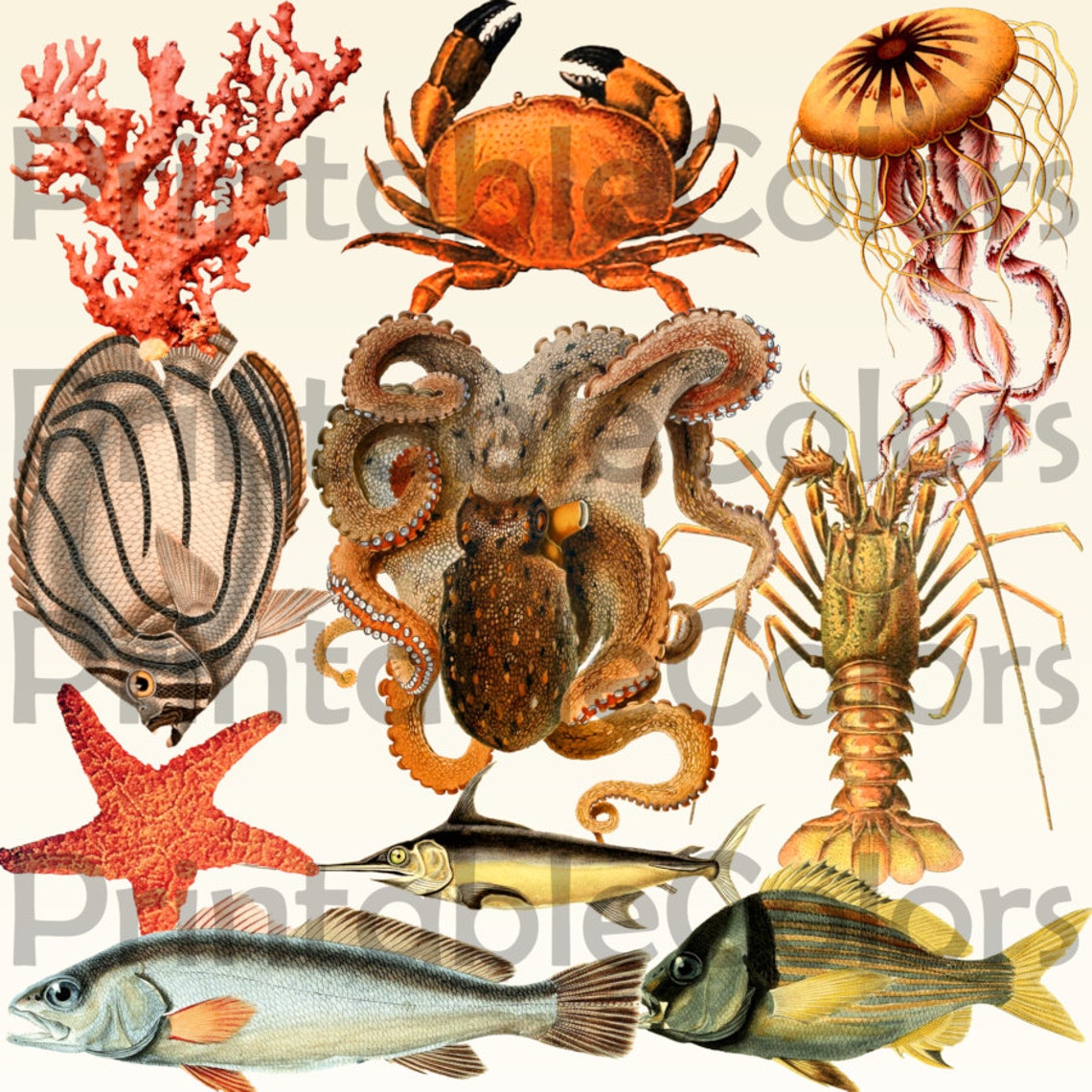 Vintage Sea Clipart - Digital Download - Fish Clipart - Scrapbook Sea ...