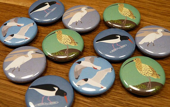 Coastal Bird Fridge Magnets set of 4 | Etsy