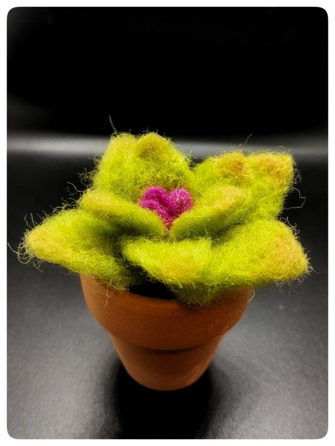 Handmade Needle Felt Wool Succulent Plant Gift - Etsy