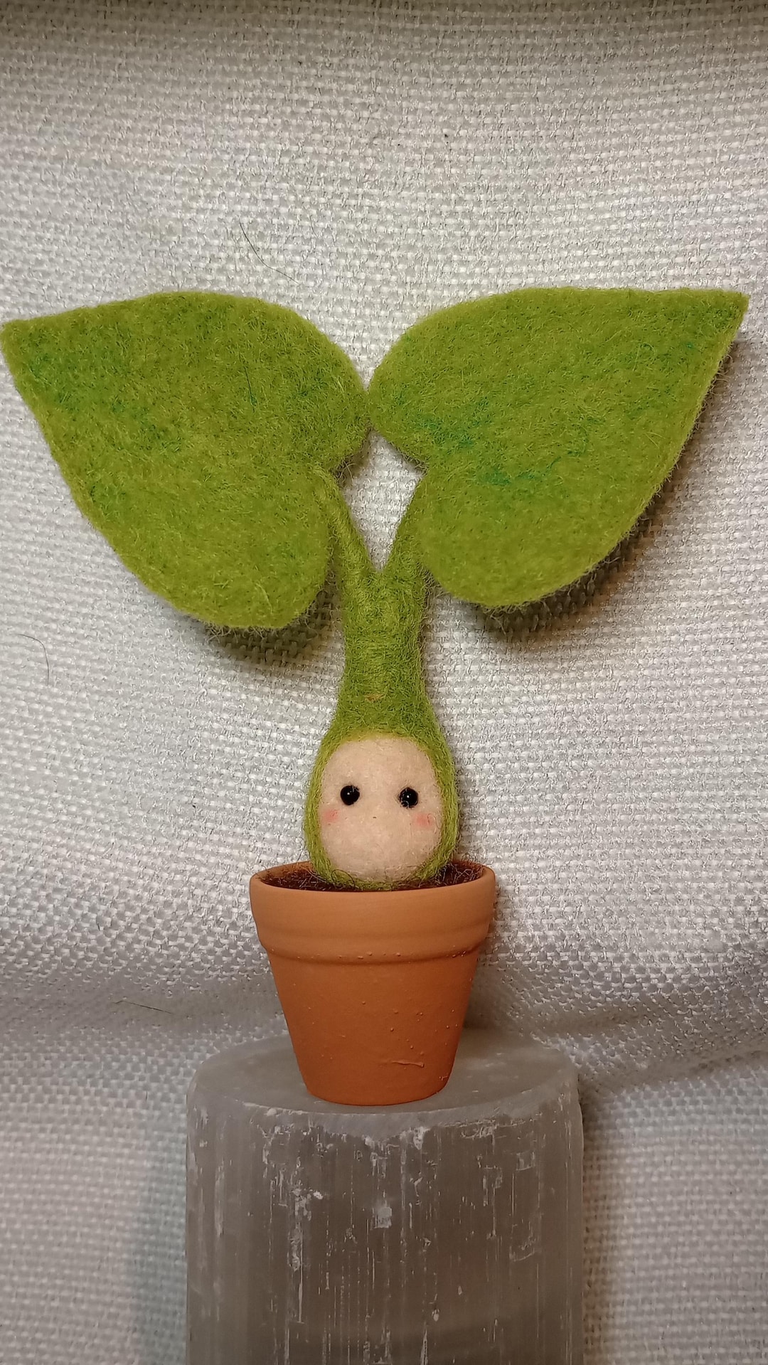 Handmade Needle Felted Plant Sproutling With Heart Leaves - Etsy