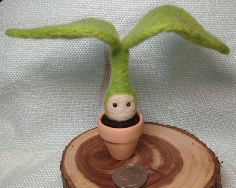 Handmade Tiny Needle Felted Wool Plant Sproutling Gift - Etsy