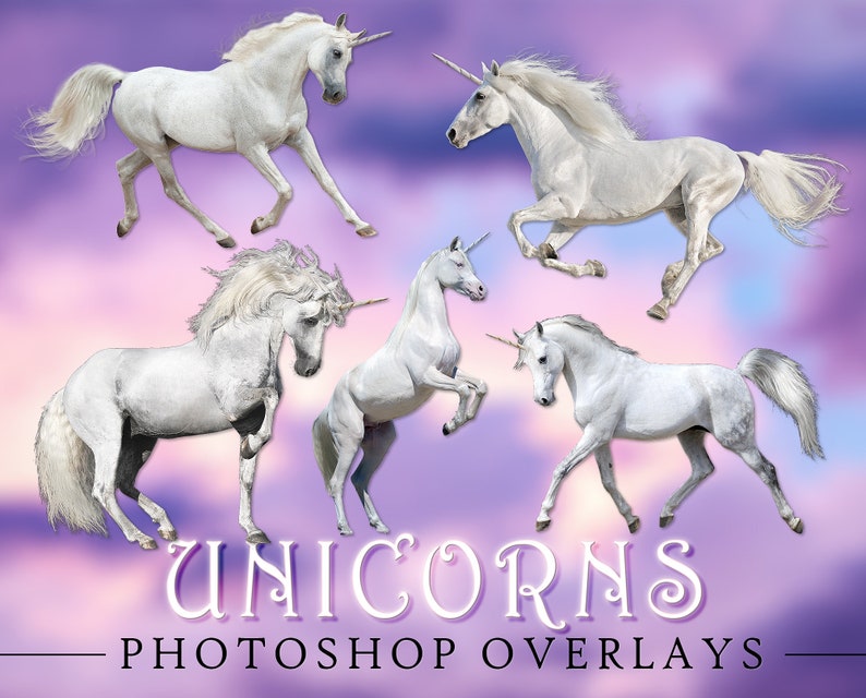 Unicorns Overlay Photoshop Overlays for Photoshop, Digital Scrapbooking ...