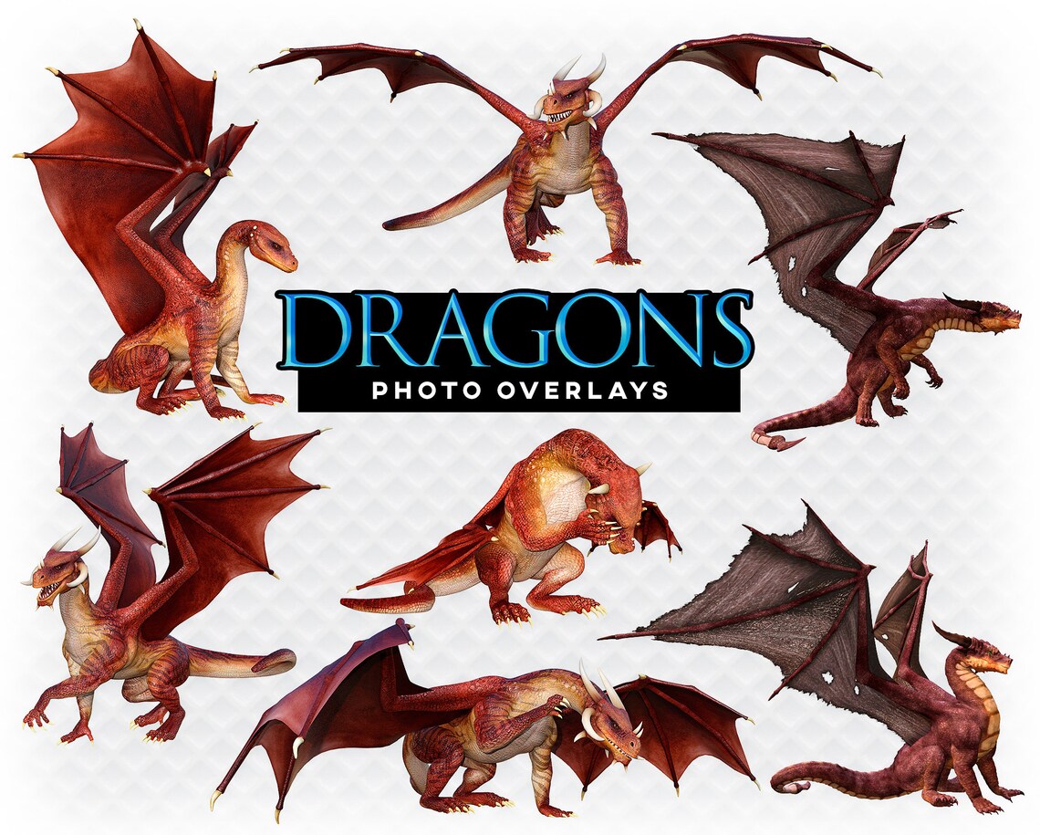 Dragons Overlay Photoshop Overlays for Photographers - Etsy Canada