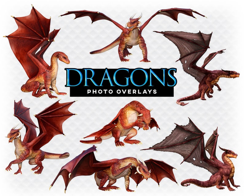 Dragons Overlay Photoshop Overlays for Photographers | Etsy UK