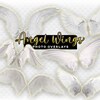Tiaras Tiara Princess Overlay Photoshop Overlays for Photoshop. Digital ...