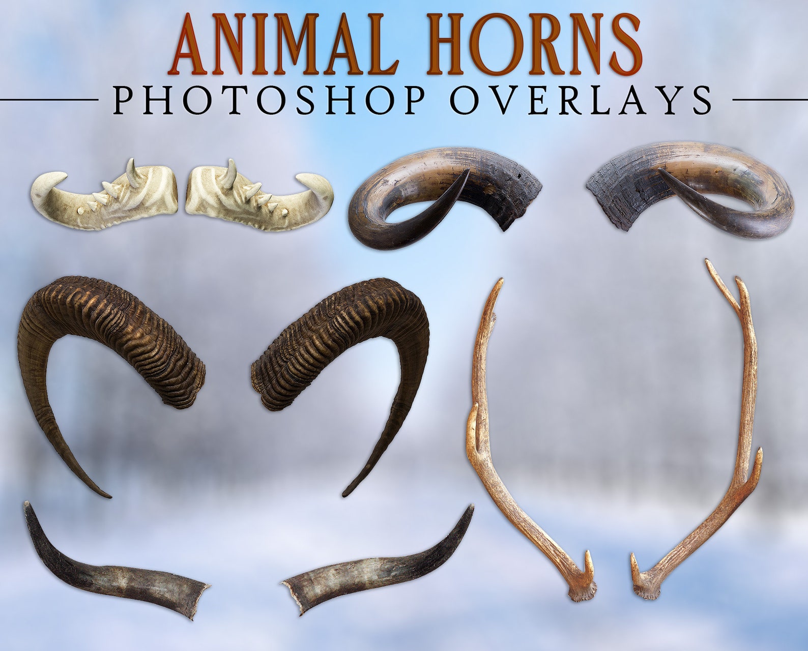 Animal Horns Overlay Photoshop Overlays for Photoshop. Digital - Etsy