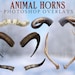 Animal Horns Overlay Photoshop Overlays for Photoshop. Digital ...