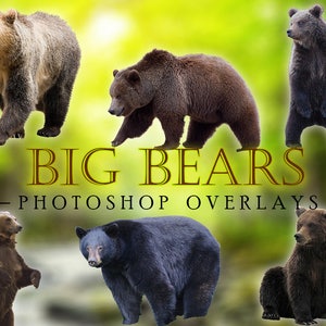 Big Bears Overlay Photoshop Overlays for Photoshop. Composite - Etsy