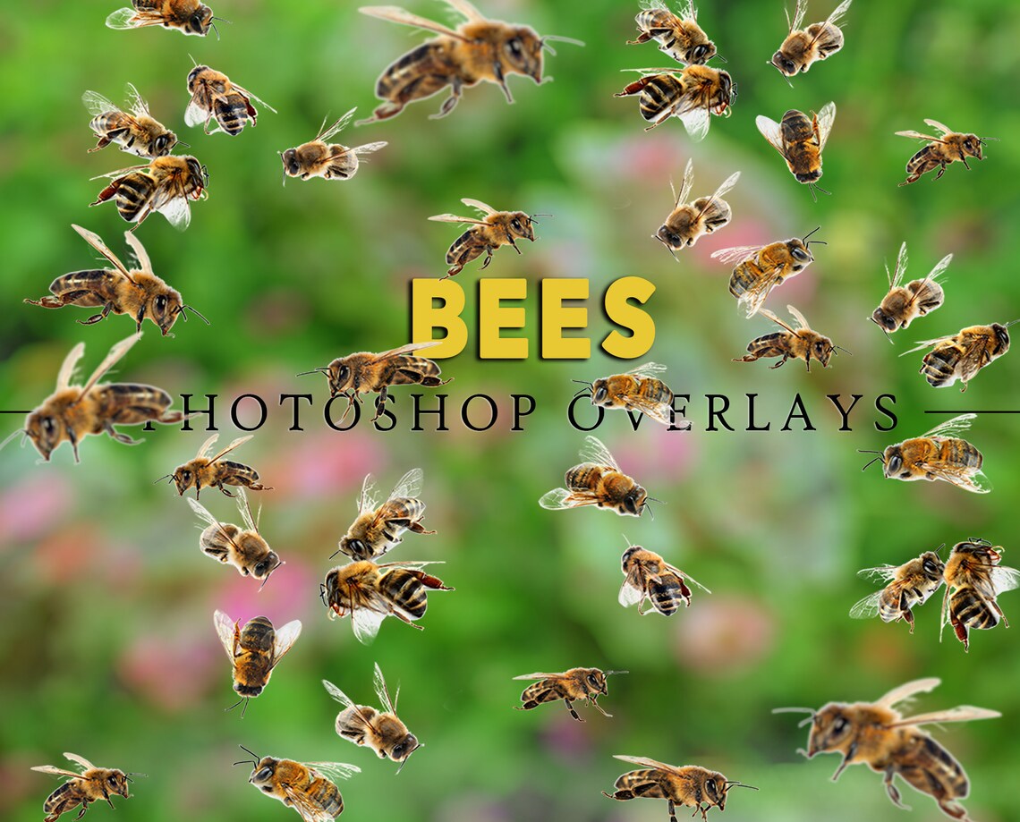 Bees Overlay Photoshop Overlays for Photographers - Etsy
