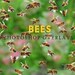 Bees Overlay Photoshop Overlays for Photographers, Invitations ...