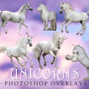 Unicorns Overlay Photoshop Overlays for Photoshop, Digital Scrapbooking ...