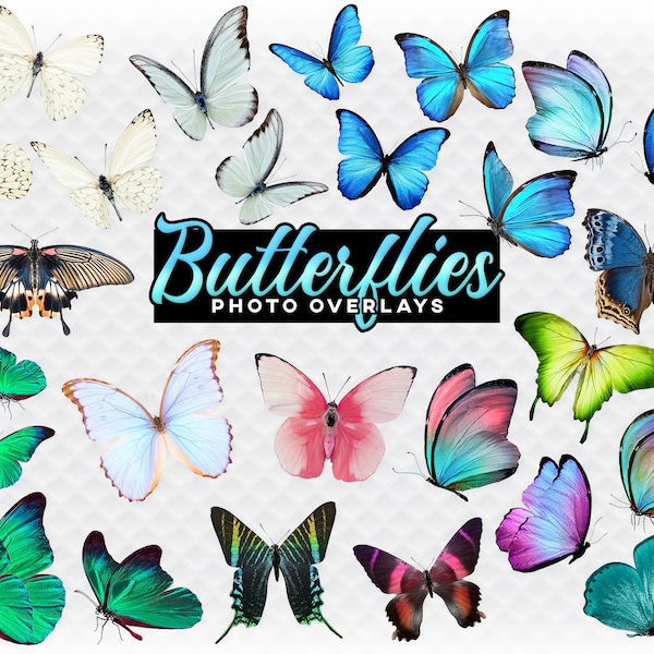 Butterfly Overlay - Etsy