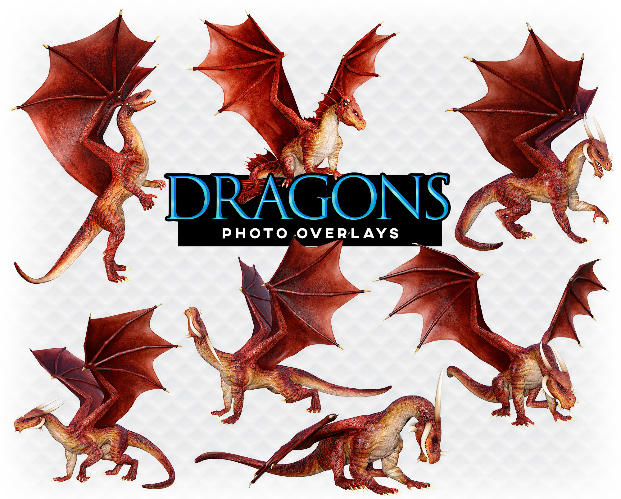 Dragons Overlay Photoshop Overlays for Photographers - Etsy Canada
