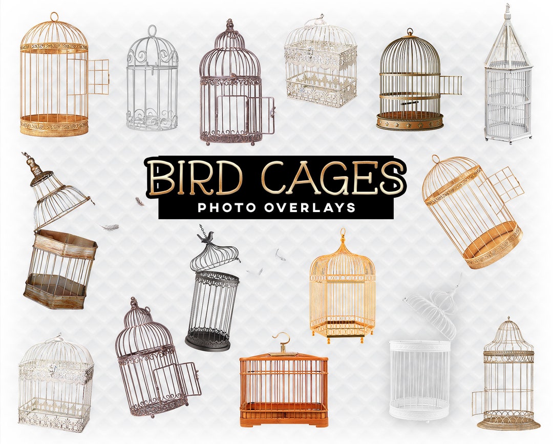 Bird Cages Overlays - for Photographers, Scrapbook, and More. Very High ...