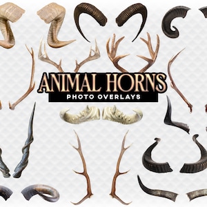 Animal Horns Overlay Photoshop Overlays for Photoshop. Digital ...