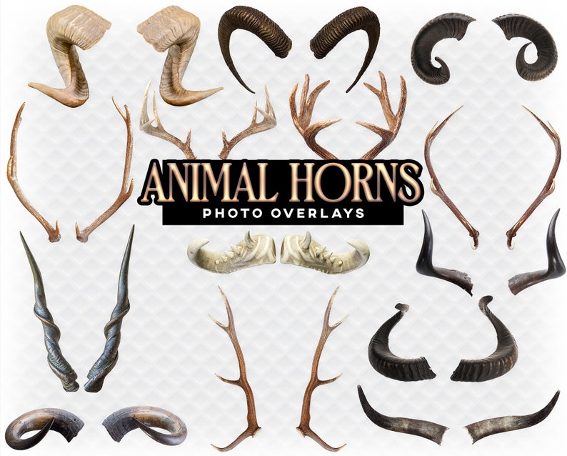 Animal Horns Overlay Photoshop Overlays for Photoshop. Digital - Etsy
