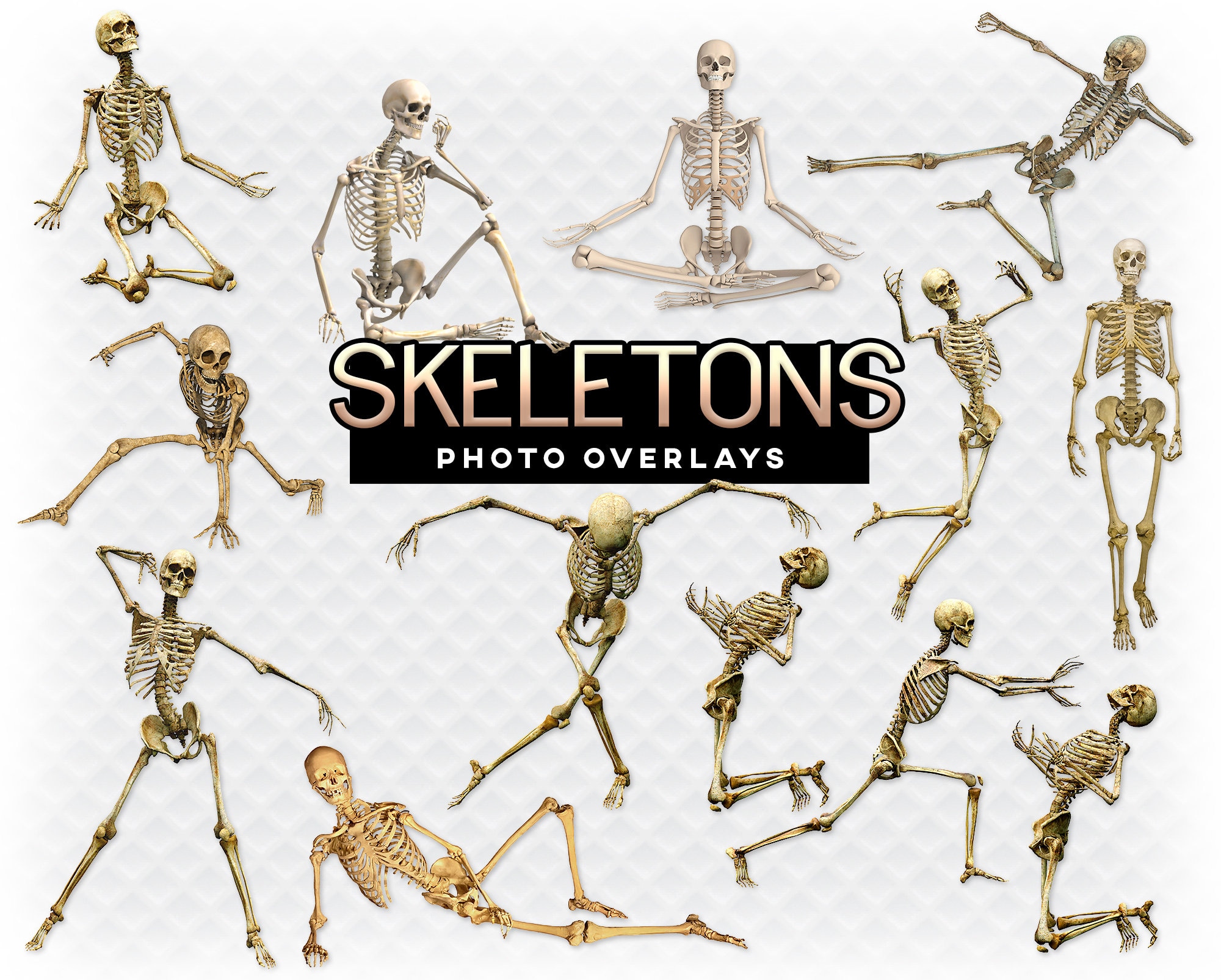Skeleton Overlay Photoshop Overlays for Photoshop. Composite Ready ...