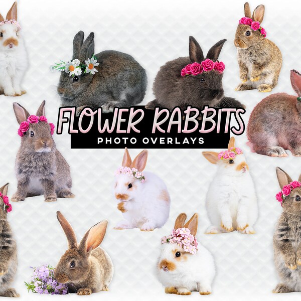 Photoshop Bunny Ear Overlay - Etsy