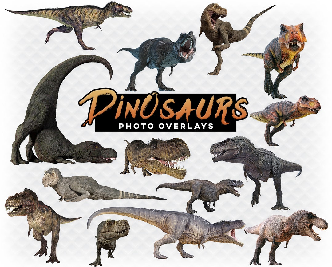 T-rex Dinosaurs Overlay Photoshop Overlays for Photographers ...