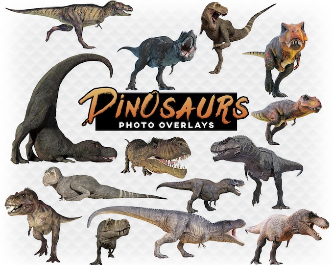 T-rex Dinosaurs Overlay Photoshop Overlays for Photographers ...