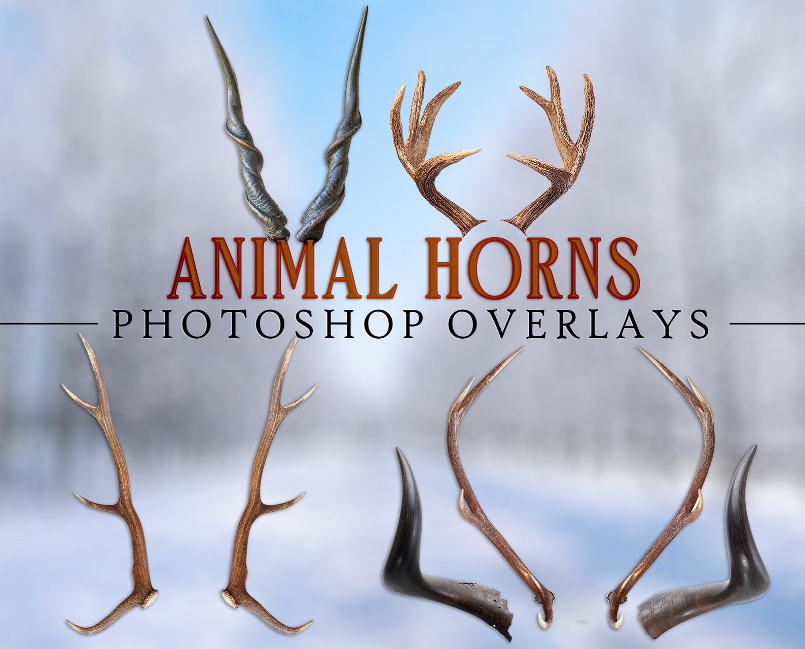 Animal Horns Overlay Photoshop Overlays for Photoshop. Digital ...