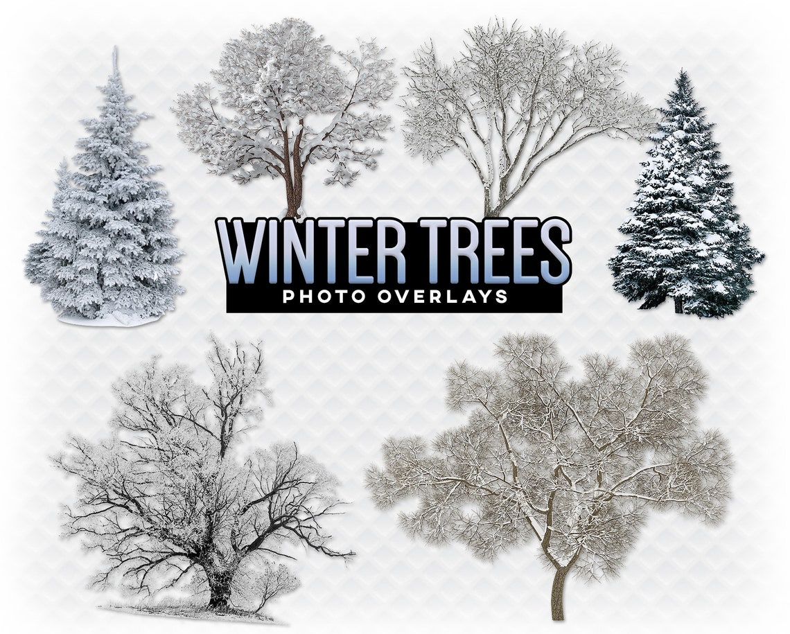 Winter Trees Overlay Photoshop Overlays for Photoshop. Digital | Etsy