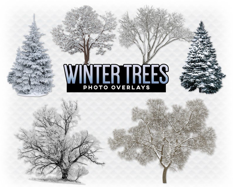 Winter Trees Overlay Photoshop Overlays for Photoshop. Digital ...