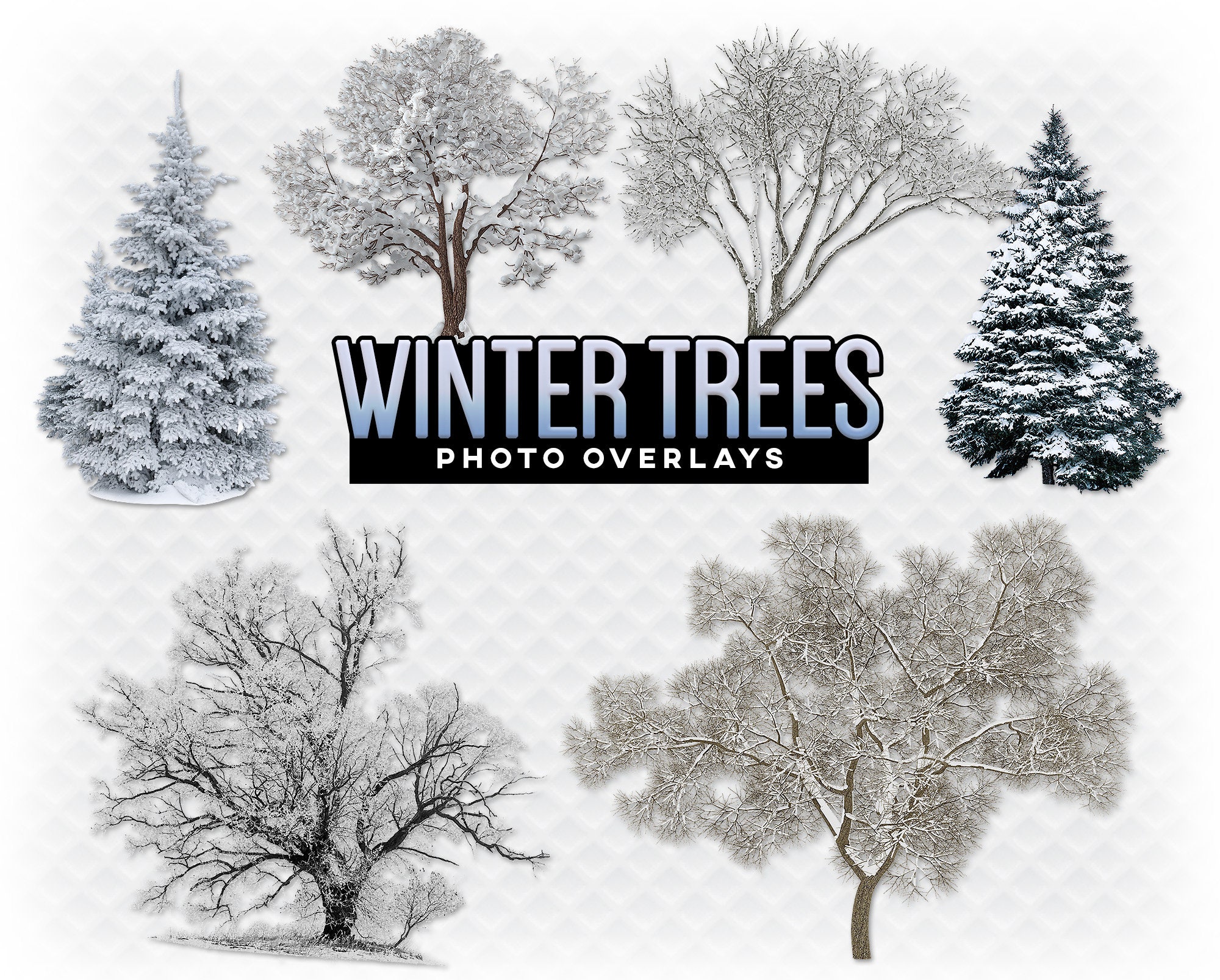 Winter Trees Overlay Photoshop Overlays for Photoshop. Digital | Etsy ...
