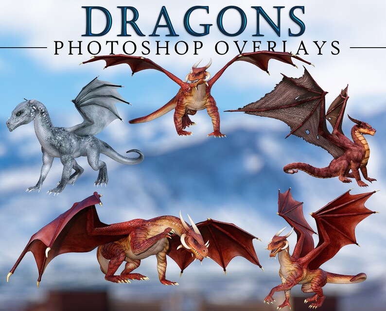 Dragons Overlay Photoshop Overlays for Photographers | Etsy UK