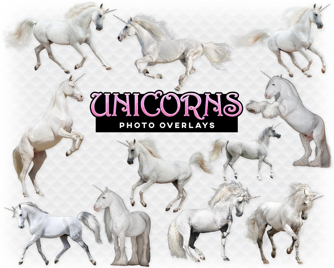 Unicorns Overlay Photoshop Overlays for Photoshop, Digital Scrapbooking ...