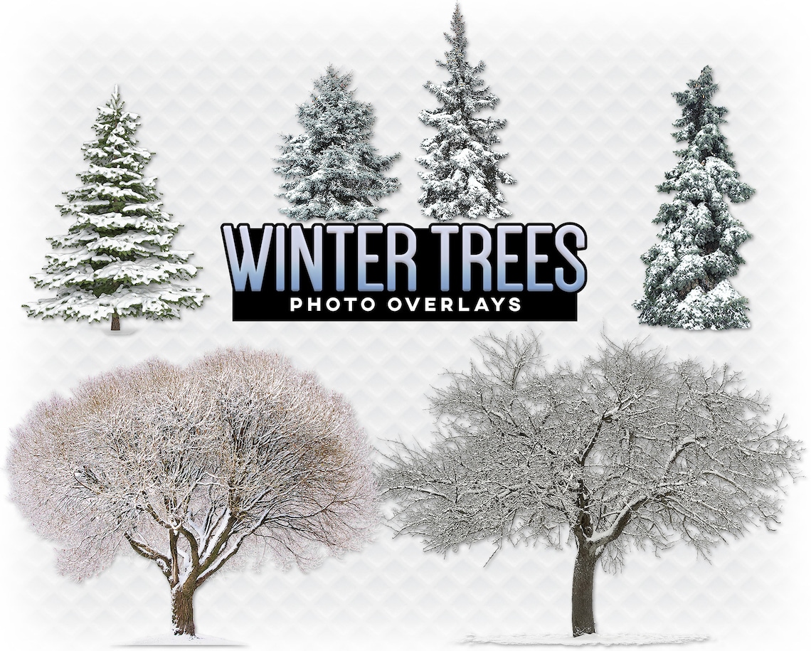 Winter Trees Overlay Photoshop Overlays for Photoshop. Digital - Etsy
