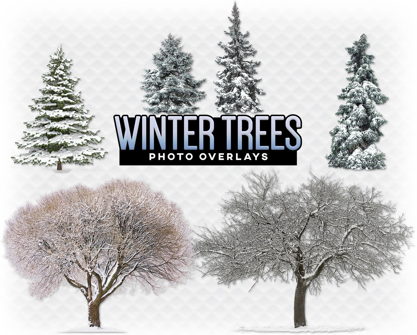 Winter Trees Overlay Photoshop Overlays for Photoshop. Digital - Etsy UK