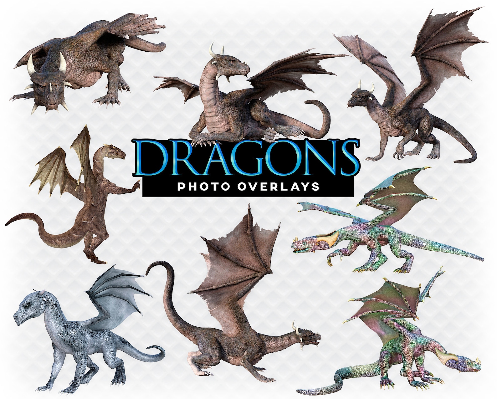 Dragons Overlay Photoshop Overlays for Photographers - Etsy Canada