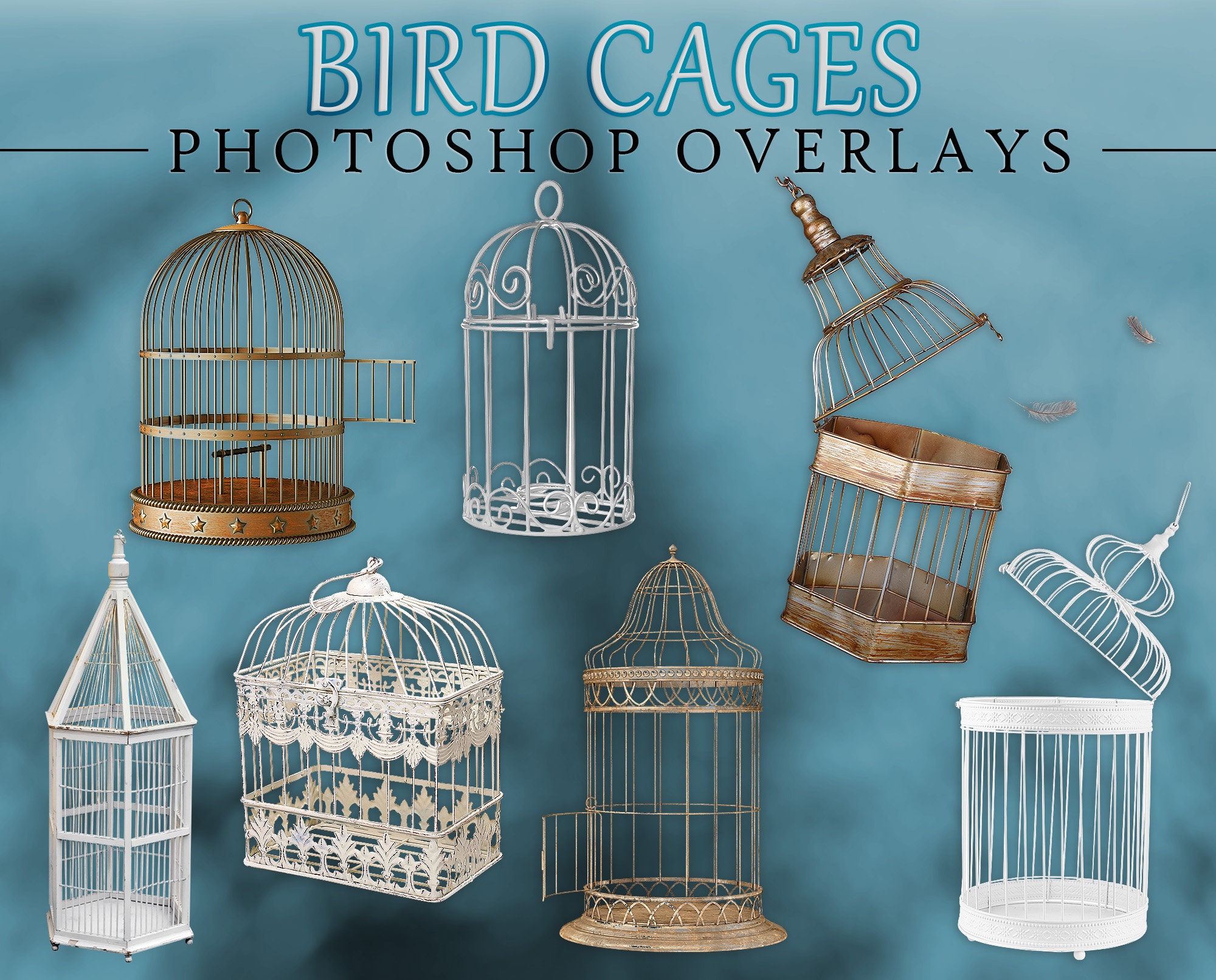Bird Cages Overlays for Photographers Scrapbook and More. - Etsy